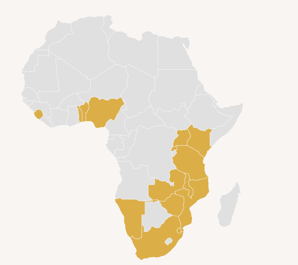 What We Do | Africa Albinism Network (AAN)